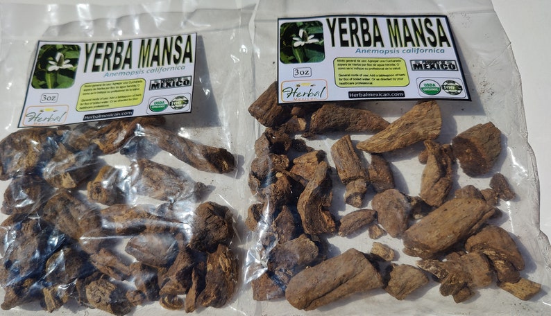 3 Oz Yerba Mansa/manza/manso ,mansa Root, Hierba Del Manzo Raiz ...
