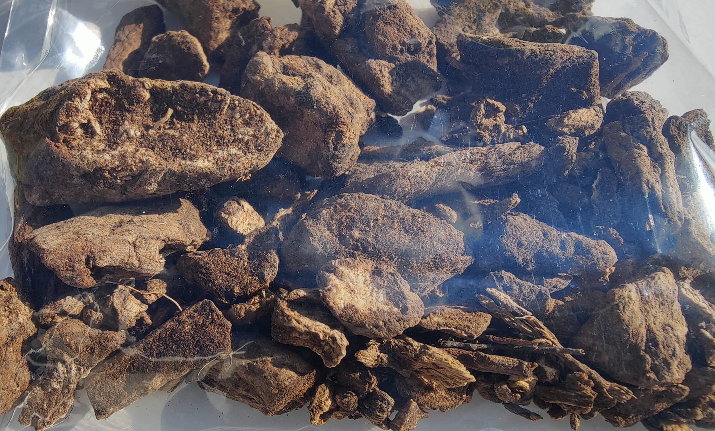 3 Oz Yerba Mansa/manza/manso ,mansa Root, Hierba Del Manzo Raiz ...