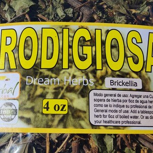 Cathedral Bells Prodigiosa Hierba Te Brickelia Organic Prodijiosa Leaf ...