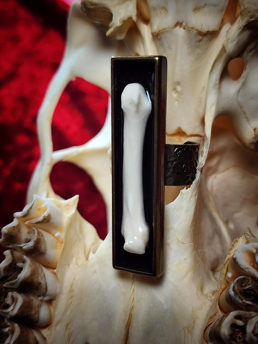 Necromancer -gothic Statement Ring With Real Bone, One Size Fits Most ...