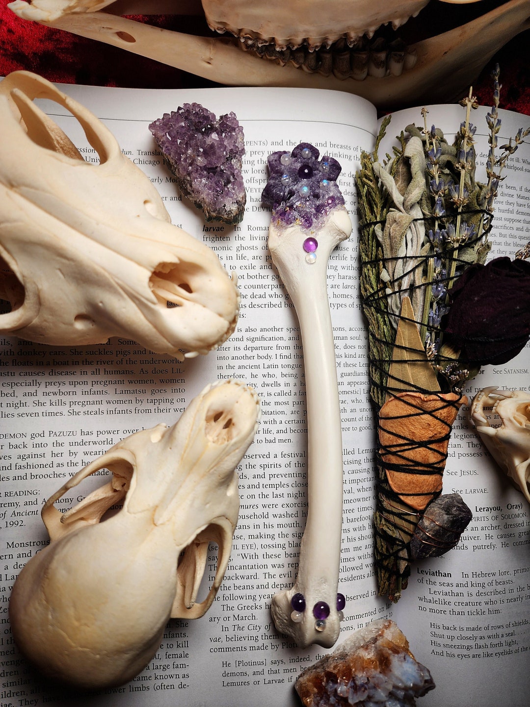 Winter Witch - Real Crystallized Coyote Femur Bone Wand With Crystal ...