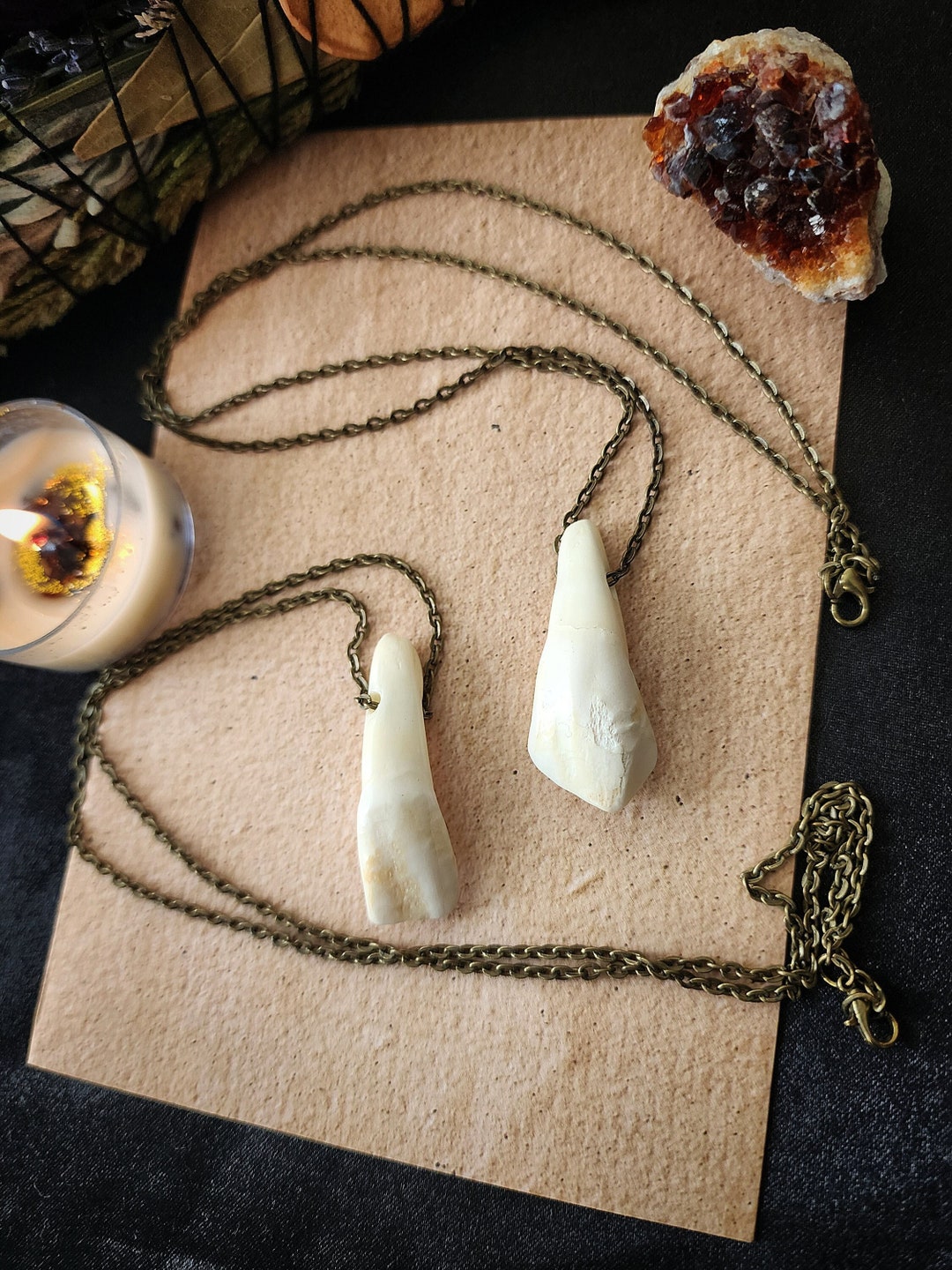 Tooth Collector - Gothic Couples Matching Bison Tooth Necklaces ...