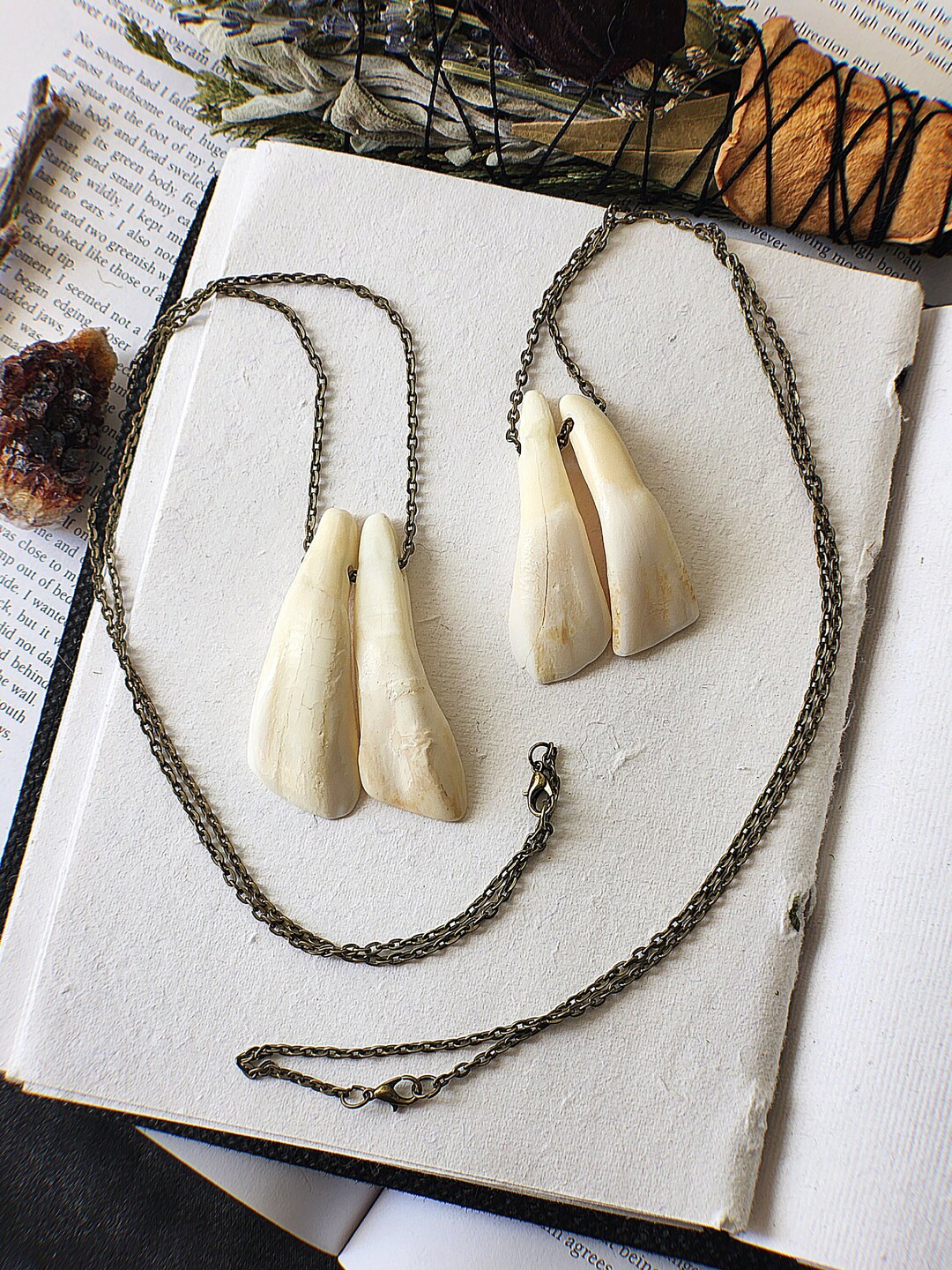 Tooth Collector - 2 Matching Bison Teeth Necklaces, Gothic Tooth ...