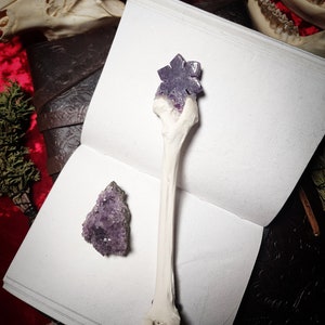 Winter Witch Real Crystallized Coyote Femur Bone Wand With Crystal ...