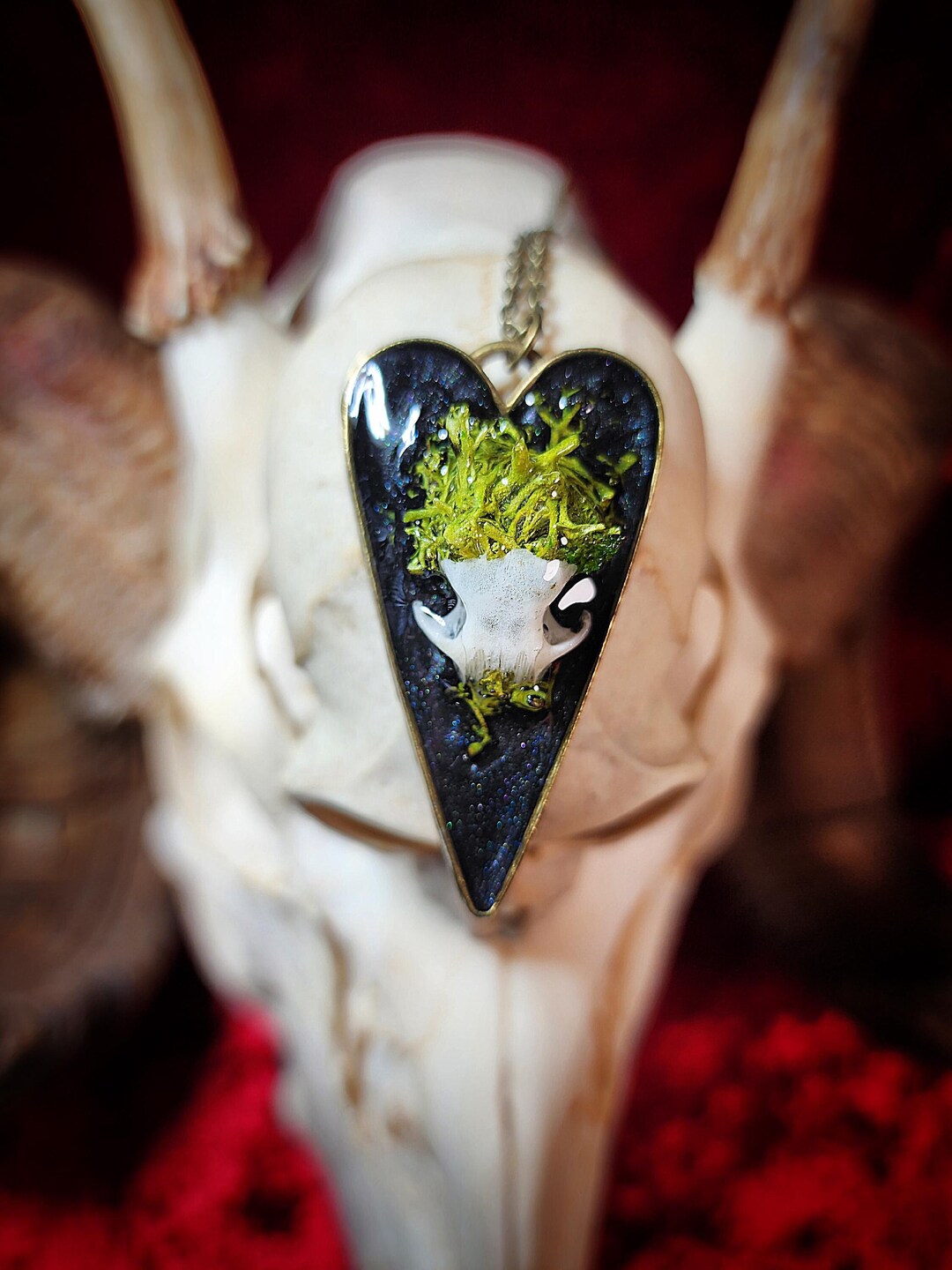 Swamp Witch - Gothic Witchcore Rodent Skull Heart Pendant With Real ...