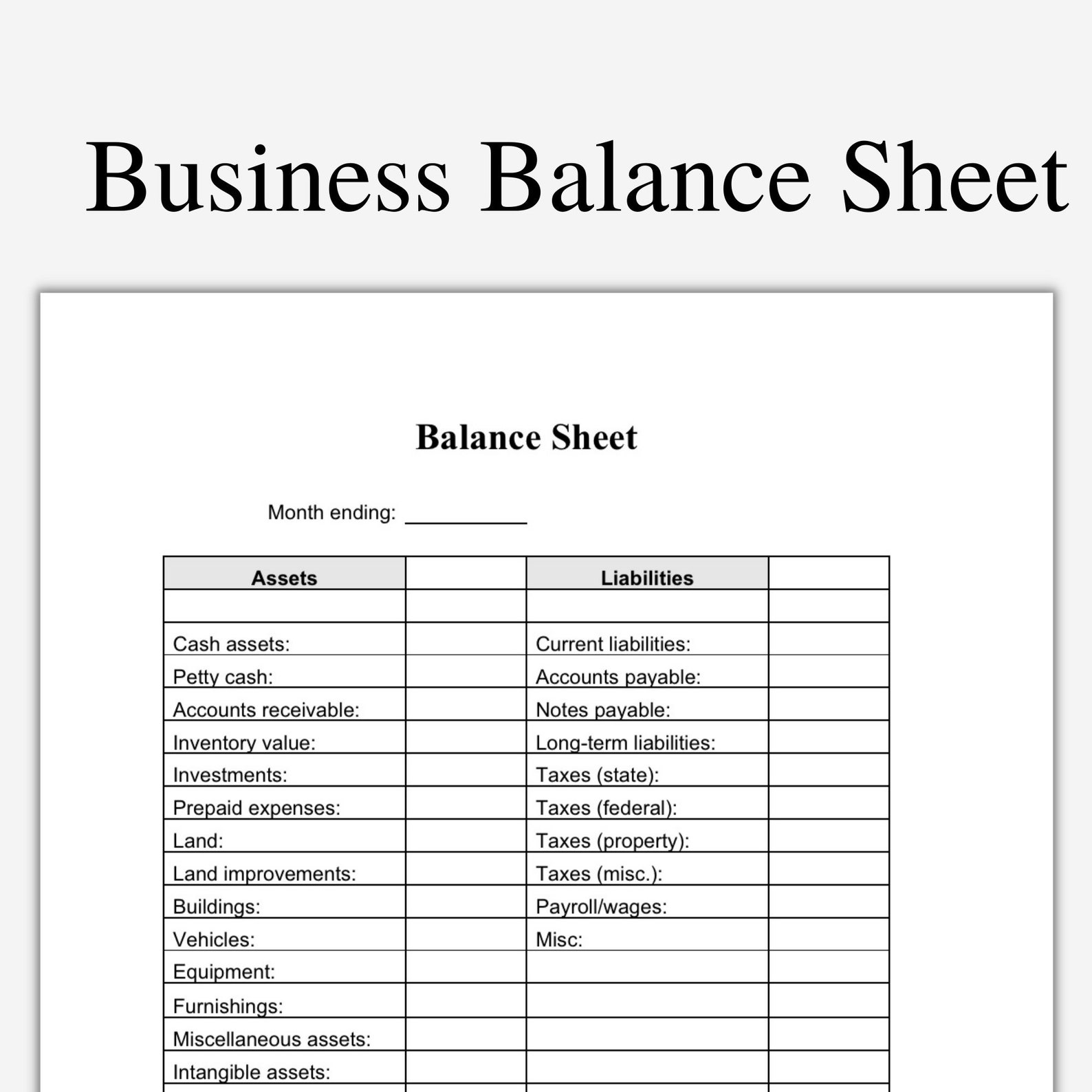 Business Balance Sheet Template Blank Business Balance Sheet - Etsy