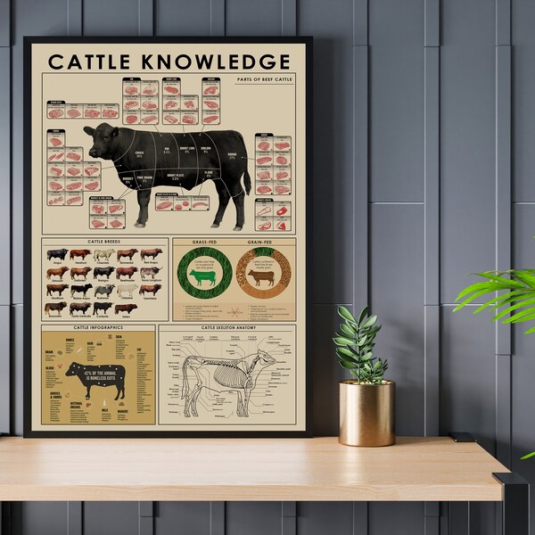 Vintage Cow Anatomy - Etsy