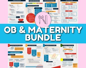 Maternal Nursing Notes - Etsy