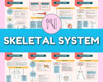 Skeletal System Study Guide - Etsy