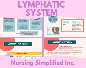 Lymphatic System Notes - Etsy