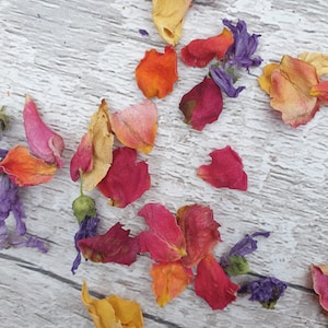 Biodegradable Confetti. Almost Rainbow Petals. Natural Confetti for All ...