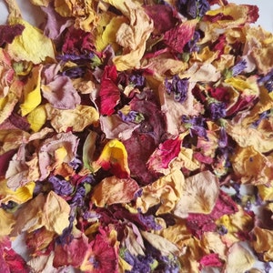 Biodegradable Confetti. Floral Medley. Natural Confetti for All ...