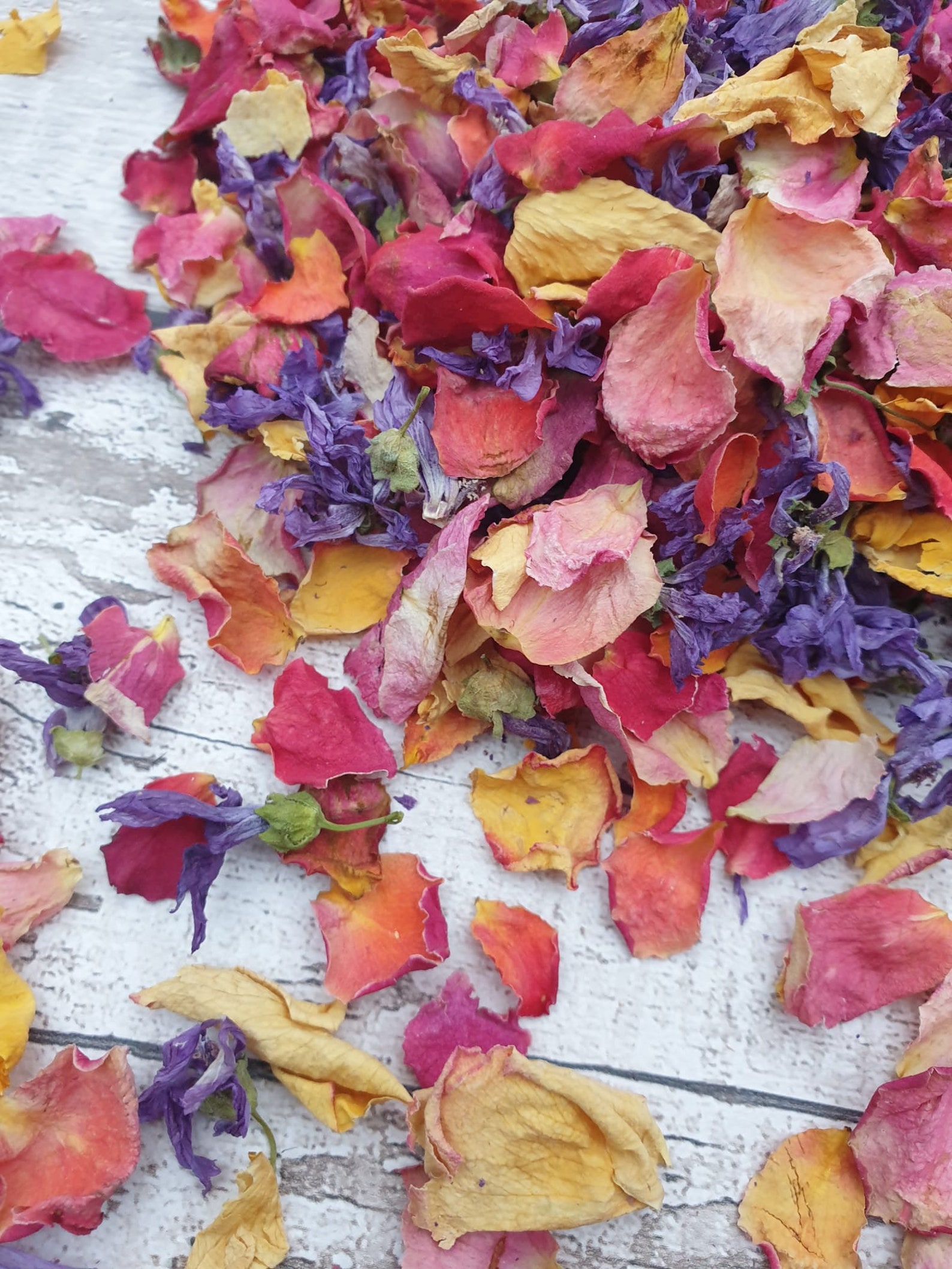 Biodegradable Confetti. Almost Rainbow Petals. Natural Confetti for All ...