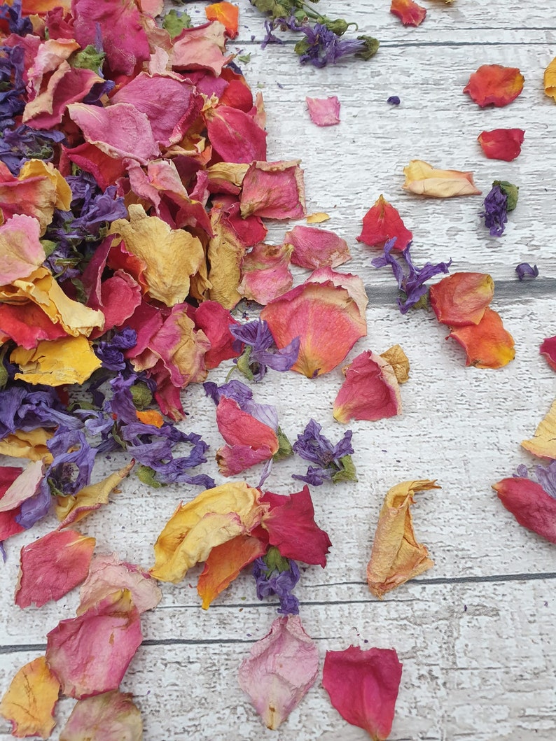 Biodegradable Confetti. Almost Rainbow Petals. Natural Confetti for All ...