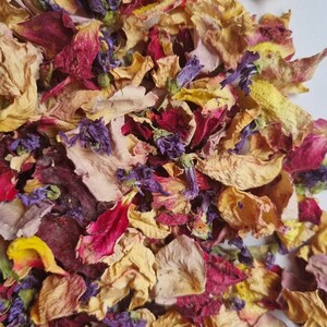Biodegradable Confetti. Floral Medley. Natural Confetti for All ...