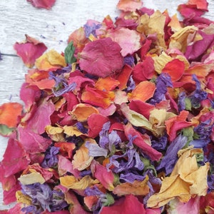 Biodegradable Confetti. Almost Rainbow Petals. Natural Confetti for All ...