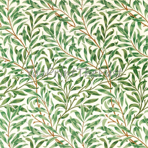 Willow Paper Designs - Etsy
