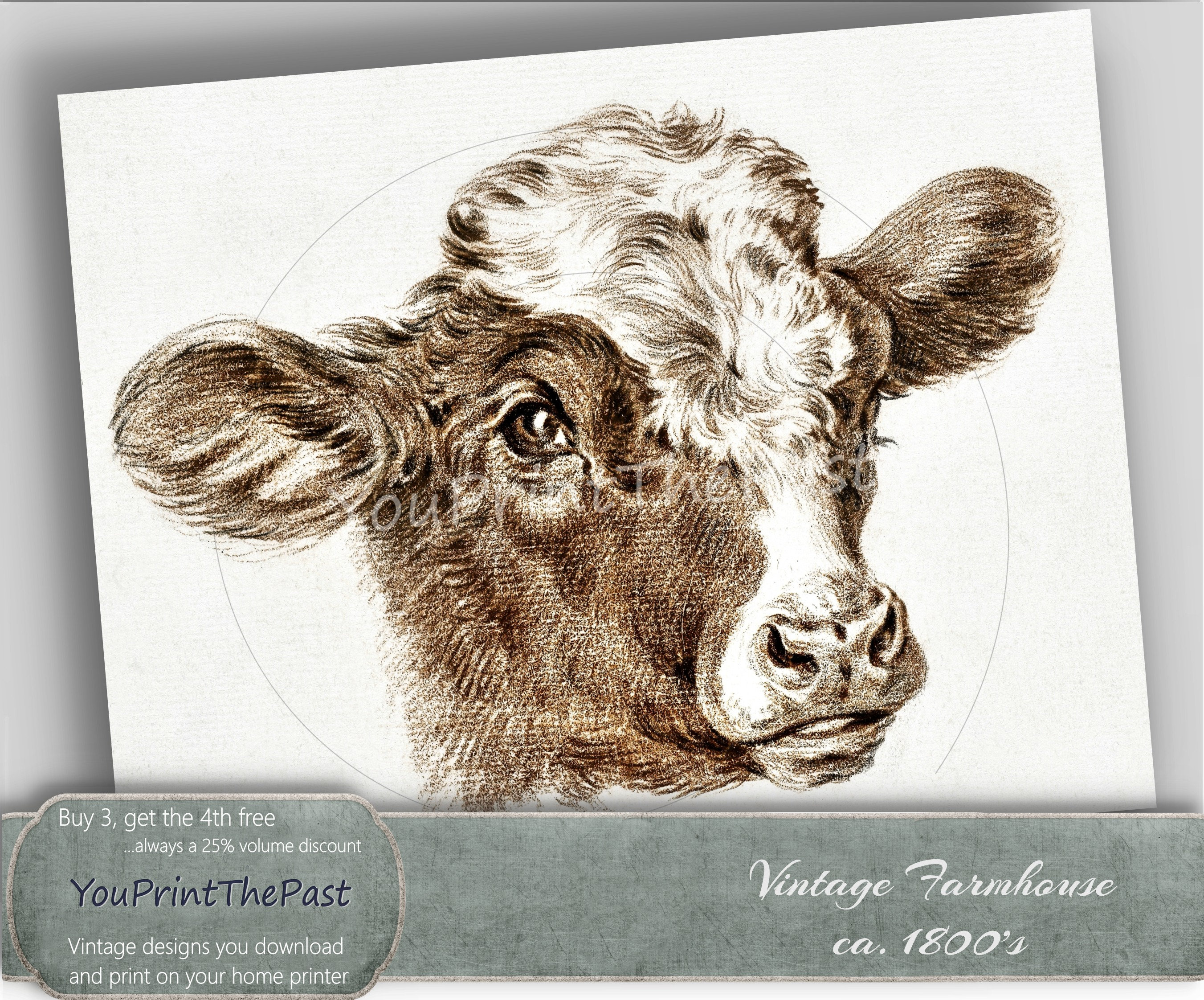 Printable Classic Art: Bernard's Antique Brown Cow Illustration. 8.5x11 ...