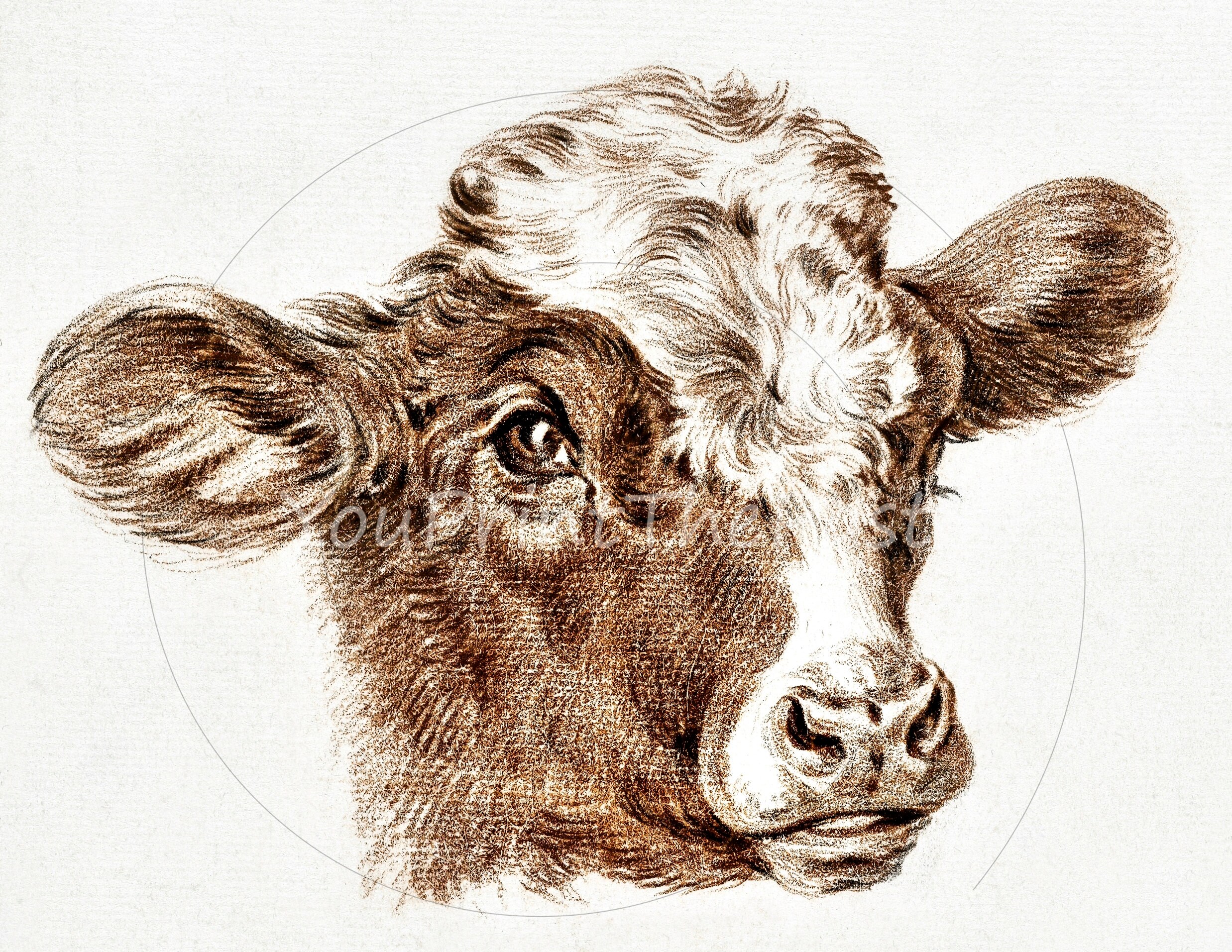Printable Classic Art: Bernard's Antique Brown Cow Illustration. 8.5x11 ...