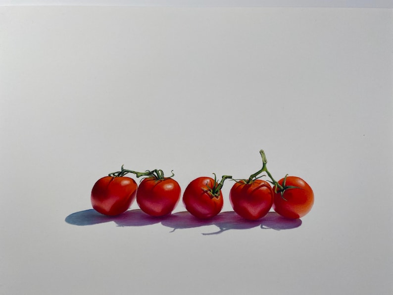 Original Tomatoes, Coloured Pencils, Realistic Drawing, Still Life - Etsy