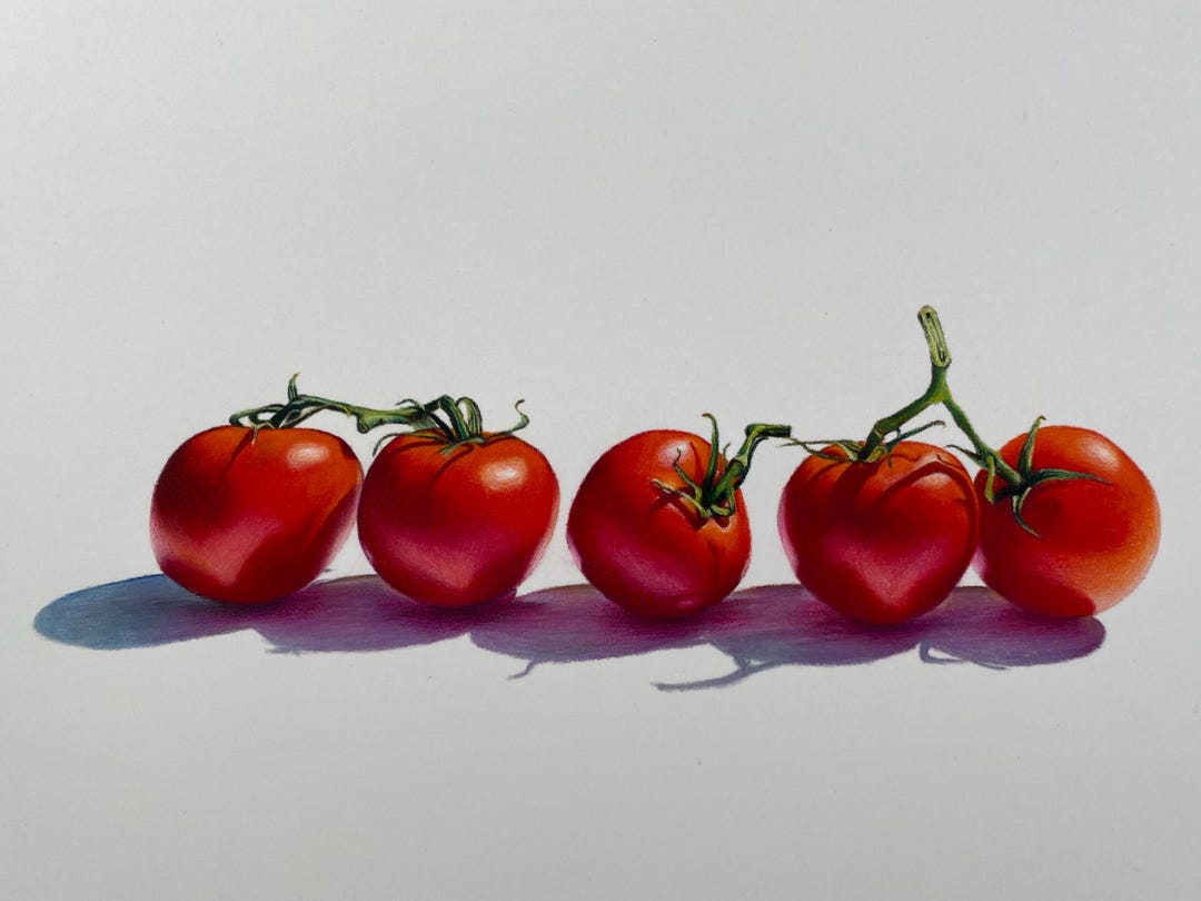 Original Tomatoes, Coloured Pencils, Realistic Drawing, Still Life - Etsy