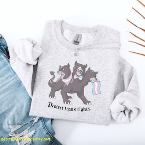 Trans Rights PNG Bundle Sublimation Clipart Quotes Trans Rights or I ...