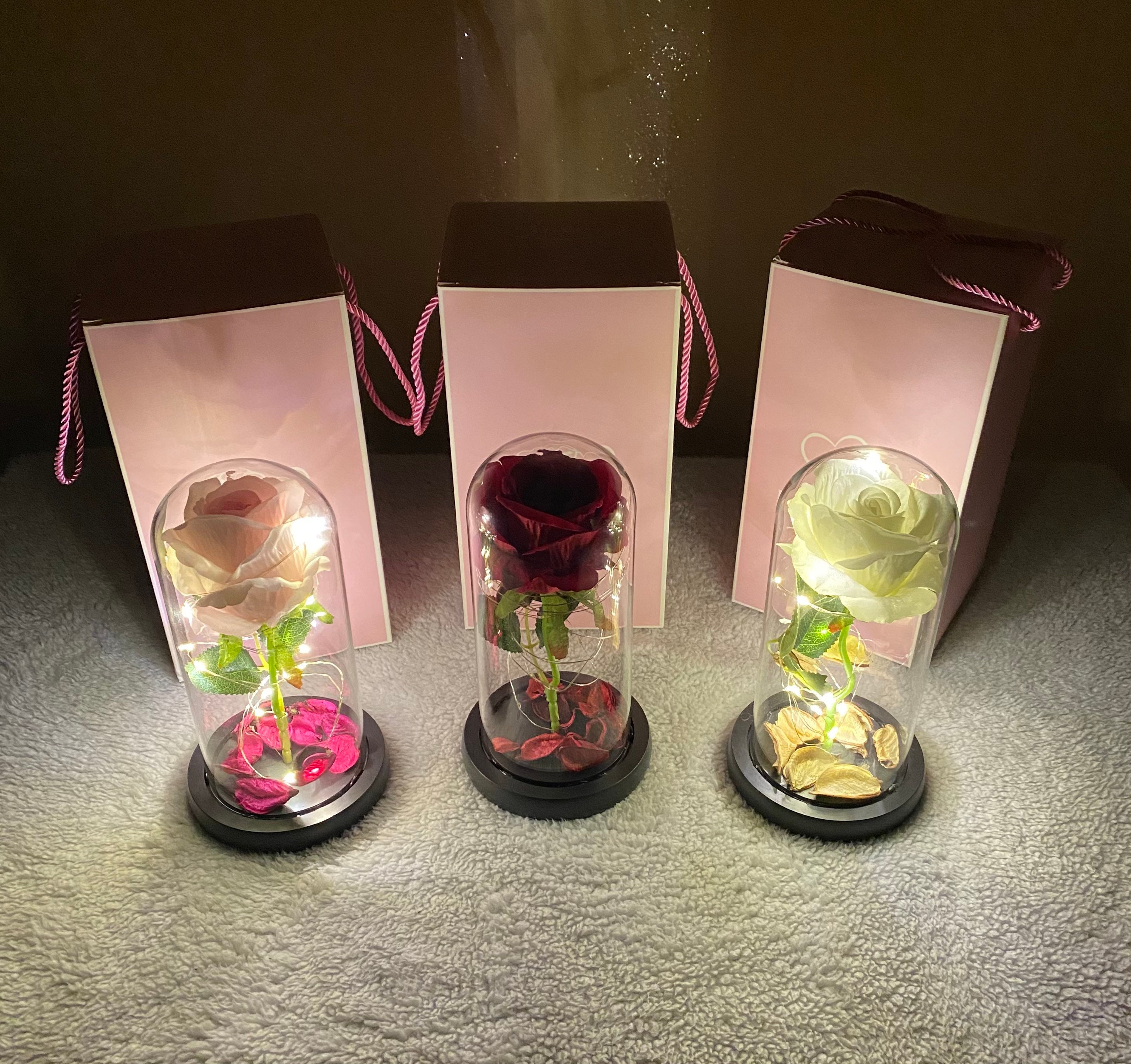 Rose LED Light up Lamp - Etsy