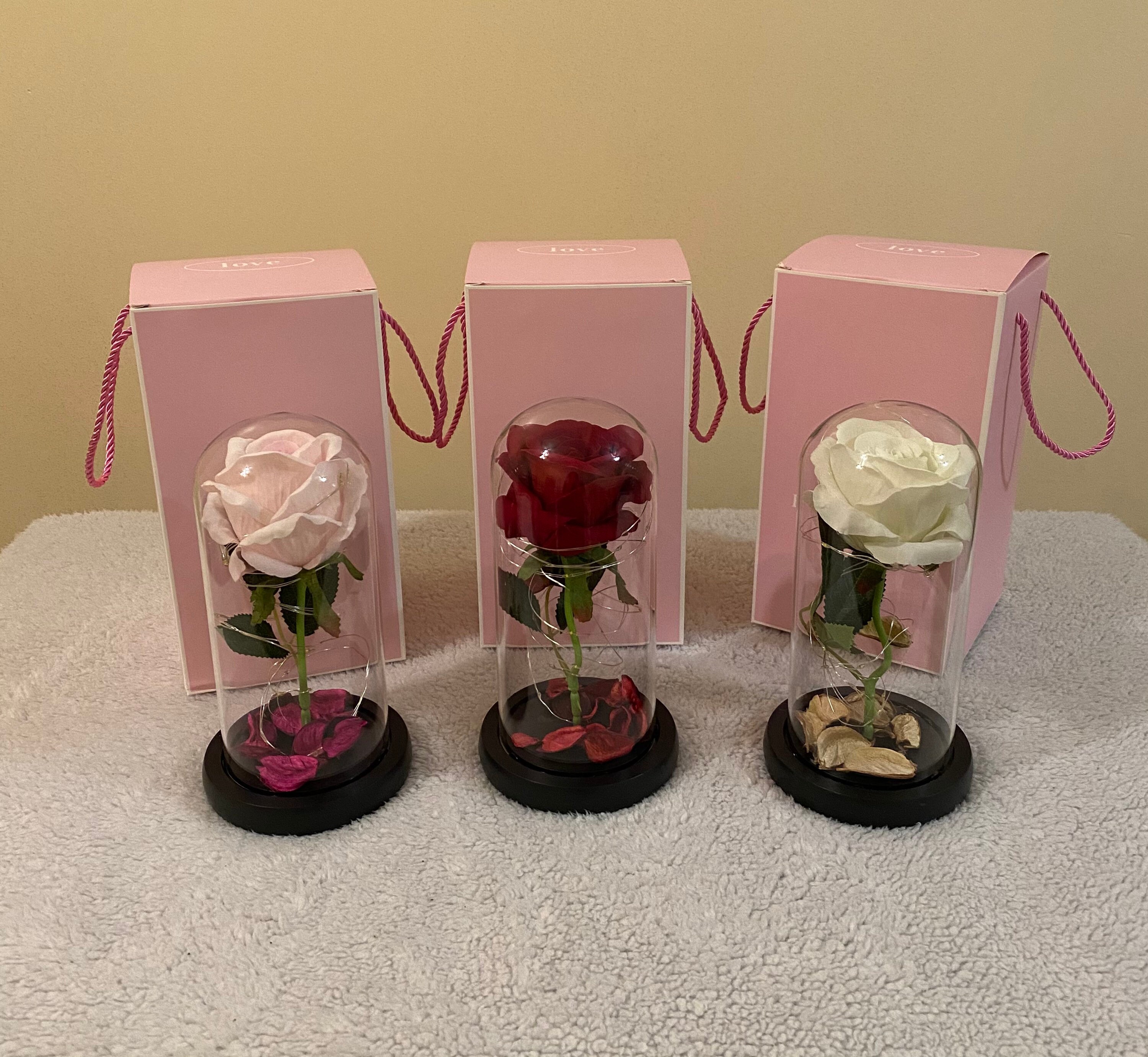 Rose LED Light up Lamp - Etsy