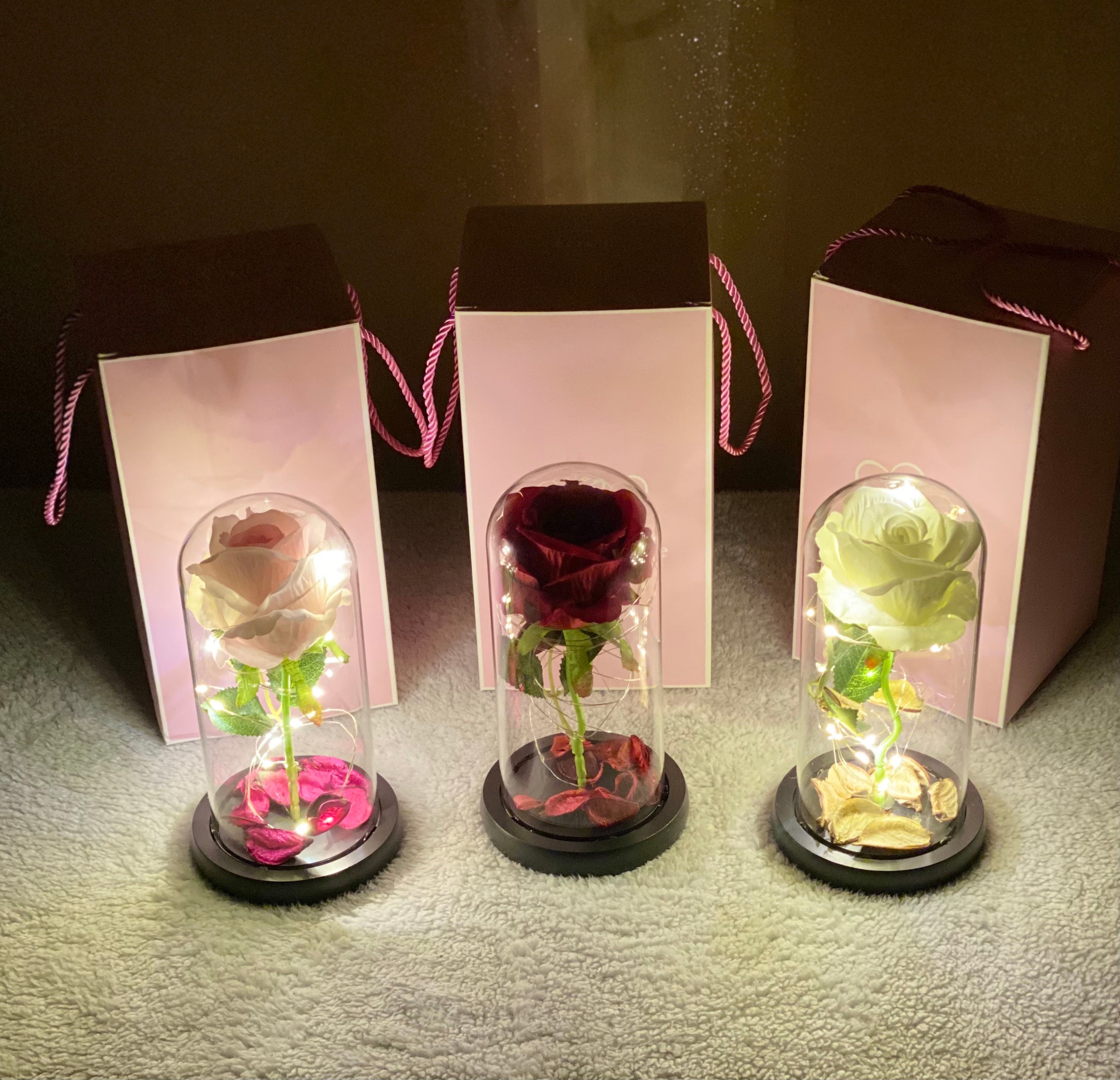 Rose LED Light up Lamp - Etsy