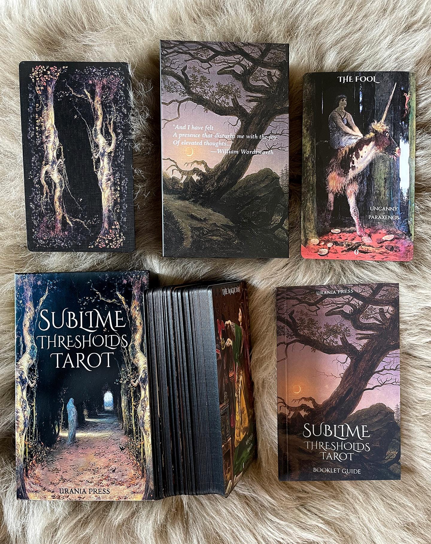 Pre-order Sublime Thresholds Tarot & Guidebook Ships Aug '26 - Etsy