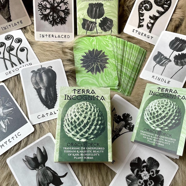 Oracle - Etsy Canada