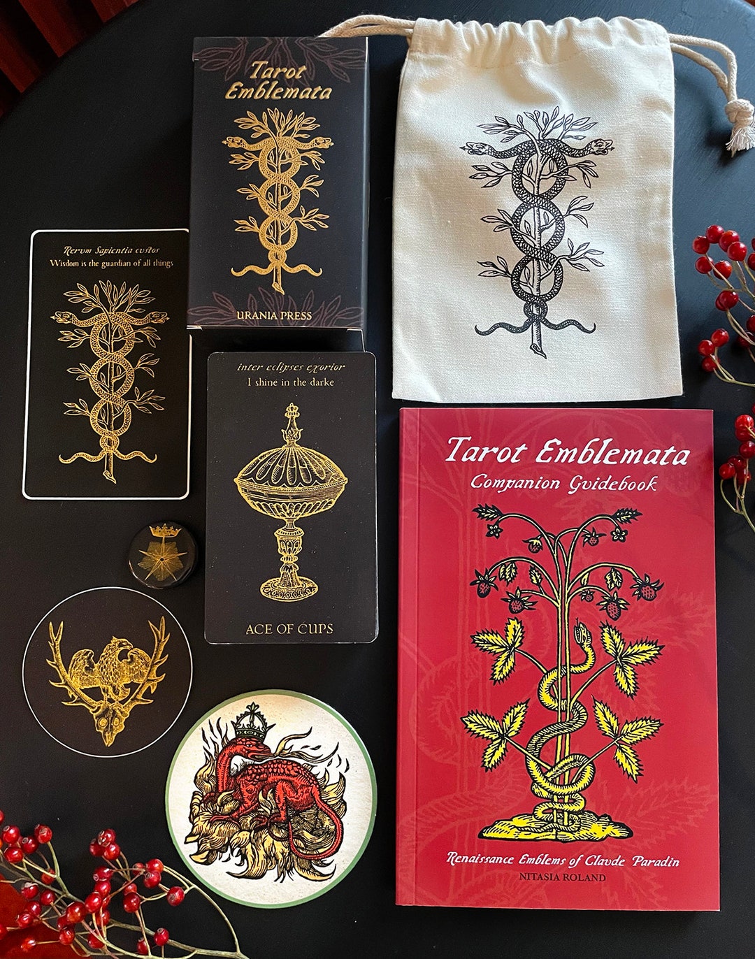Tarot Emblemata 7 Items BUNDLE Deck, Guidebook, Deck Bag, 2 Vinyl ...