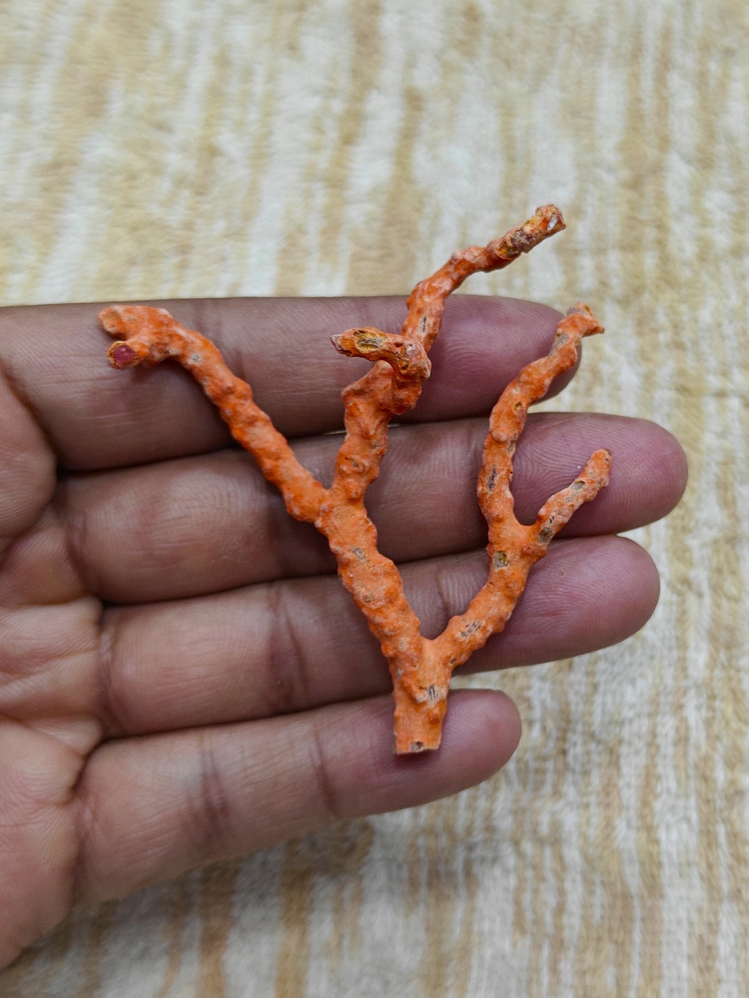 Italian Coral Loose Branch Unpolished All Too Well Speak Now Evermore ...