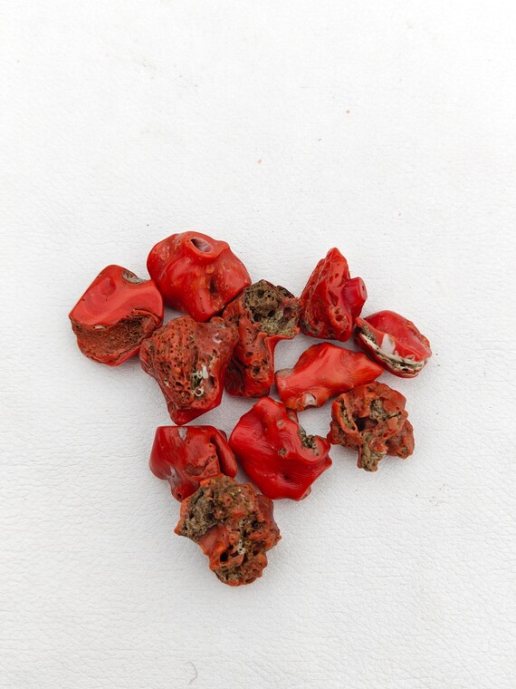 Mediterranean red coral for sale store