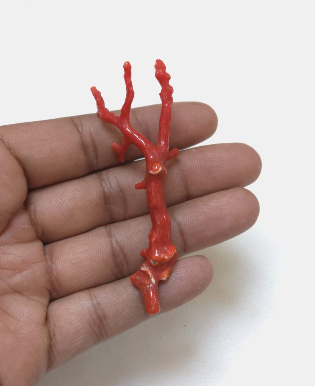 Unique Long Natural Red Coral Rough, Branches Tree Raw Coral, Genuine ...