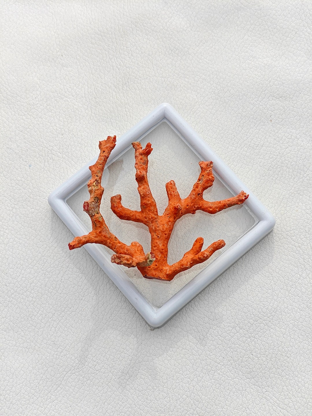 Genuine Red Coral Mediterranean Coral Unpolished Loose Branch Italian ...