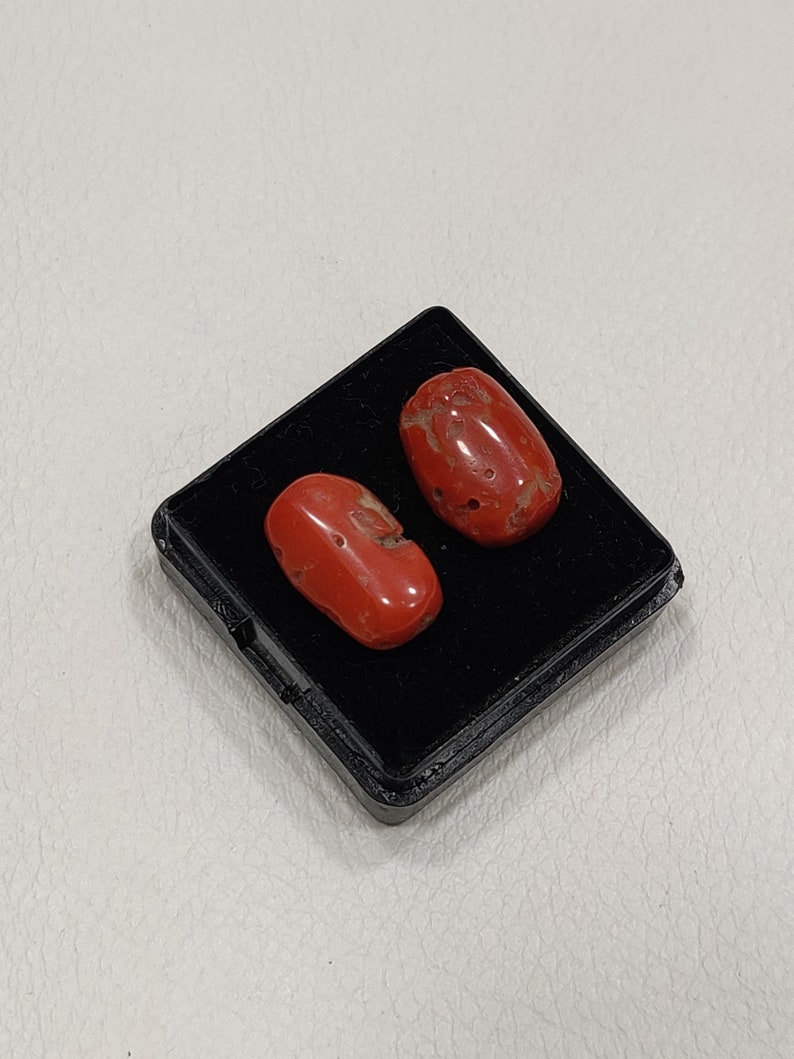 Genuine Red Coral Cabochon 2 Piece-undyed Red Coral Cabochon-100% ...