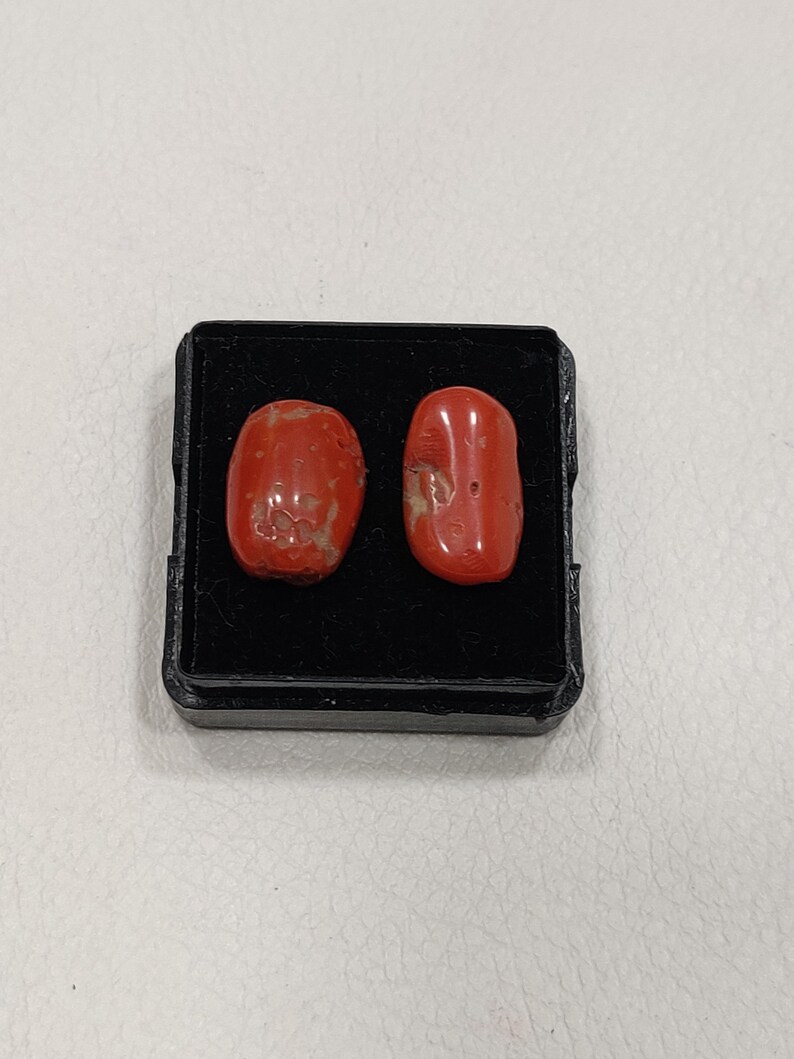 Genuine Red Coral Cabochon 2 Piece-undyed Red Coral Cabochon-100% ...