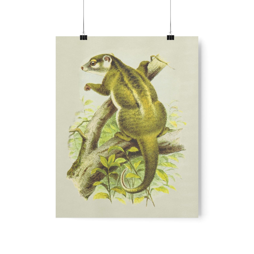Possum Nursery Poster Digital Download, Home Decor, Wall Art, Print ...