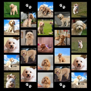 Custom Pet Photo Collage, Pet Photo Blanket, Blanket Gifts, Pet Photo ...