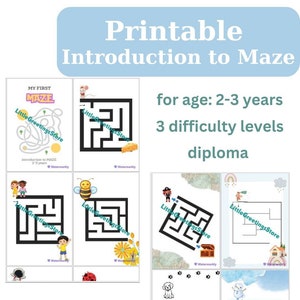 Introduction to Maze: Printable Maze for Toddlers (2-3 Years). 25 Pages ...
