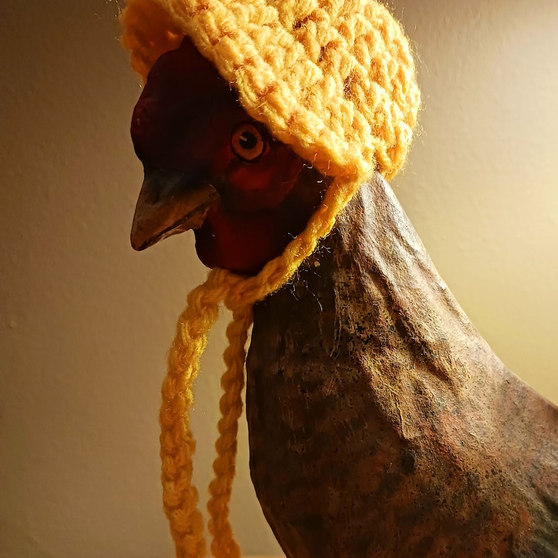 Chicken With a Helmet - Etsy
