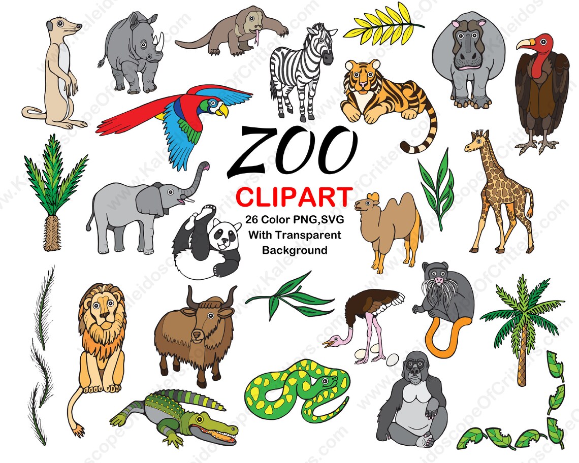 Zoo Clip Art Color PNG - Etsy