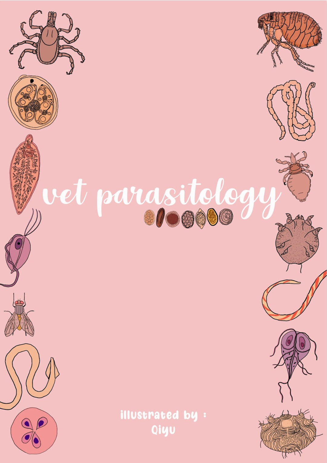 Vet Parasitology Bundle - Etsy