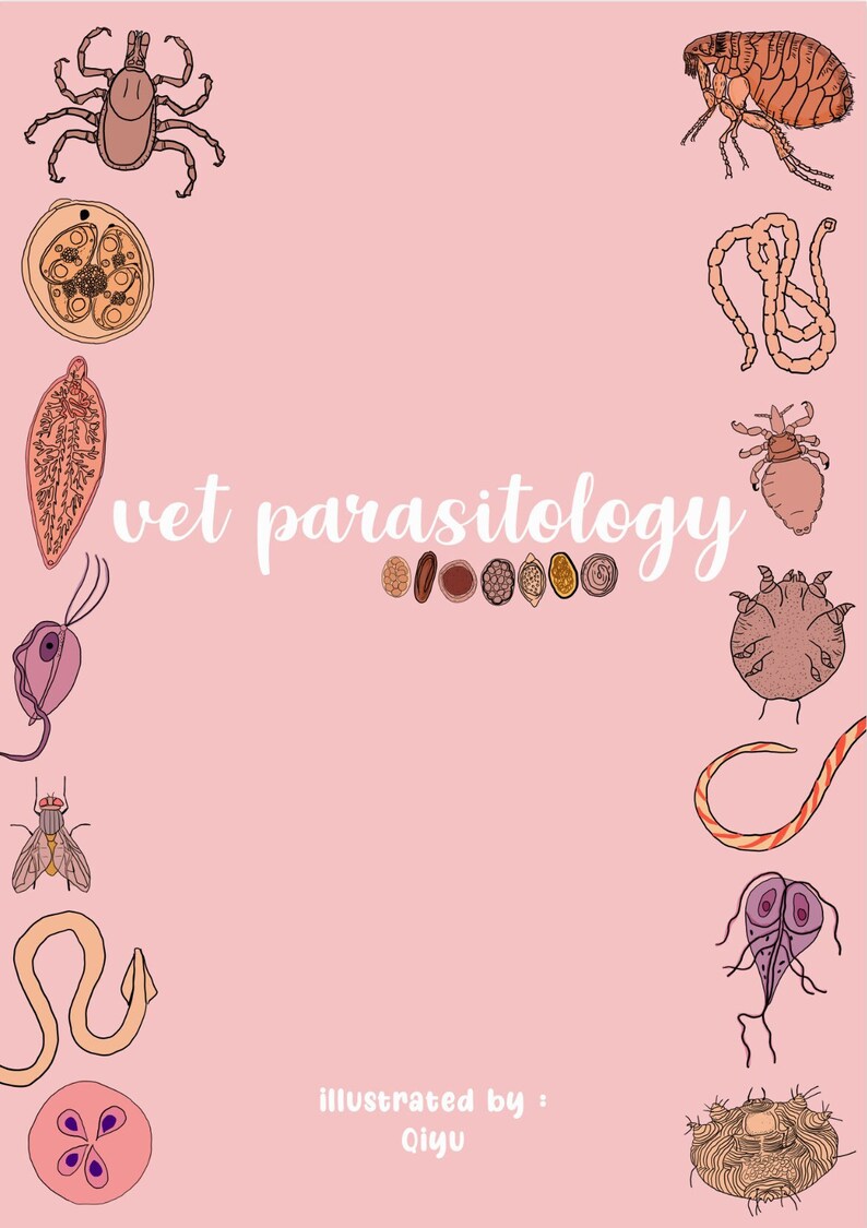 Vet Parasitology Bundle - Etsy