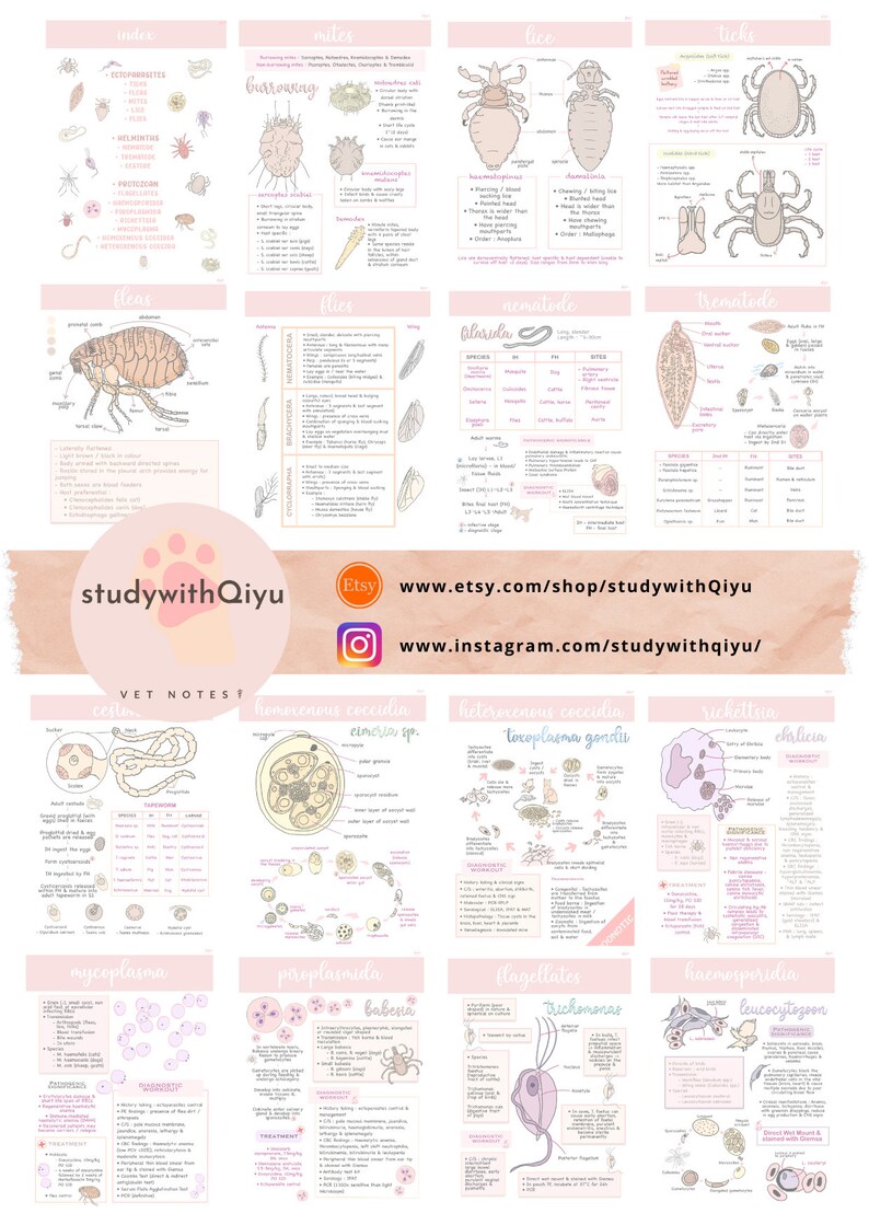 Vet Parasitology (protozoans) - Etsy