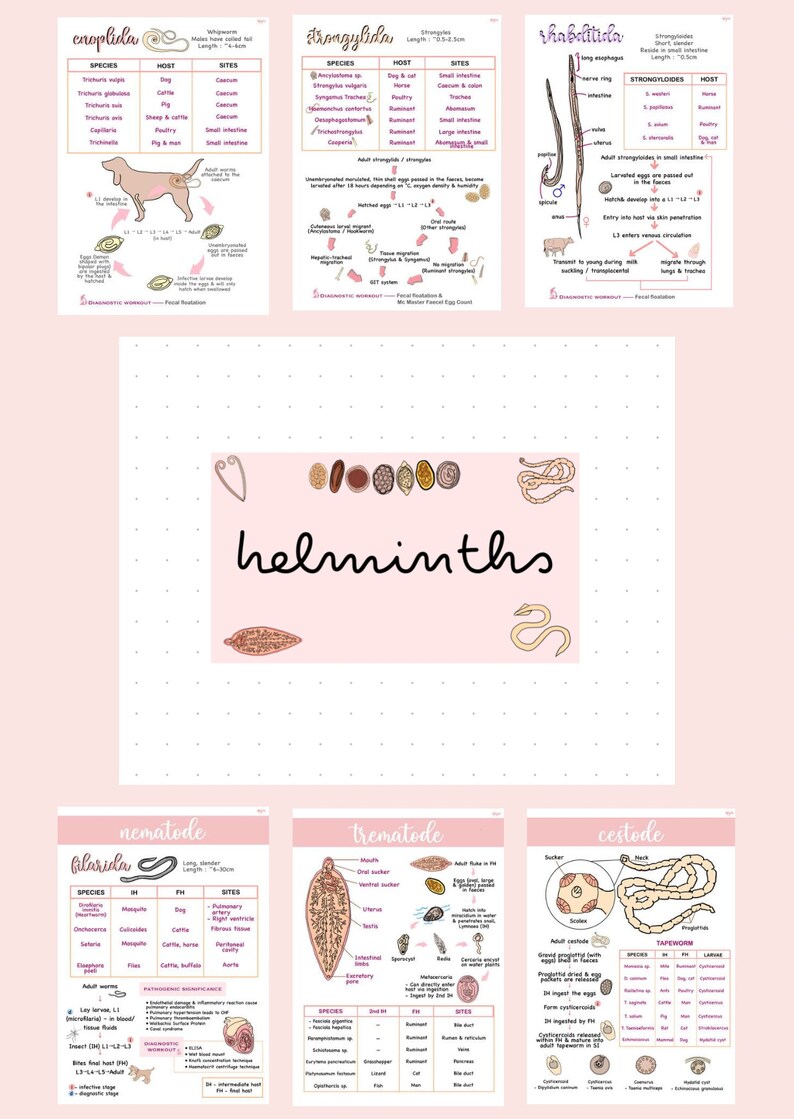 Vet Parasitology Bundle - Etsy