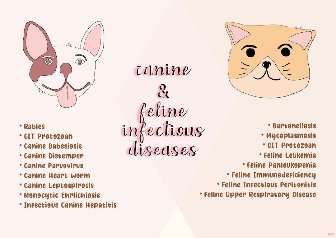 Canine & Feline Infectious Diseases - Etsy