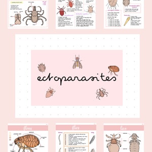Vet Parasitology Bundle - Etsy