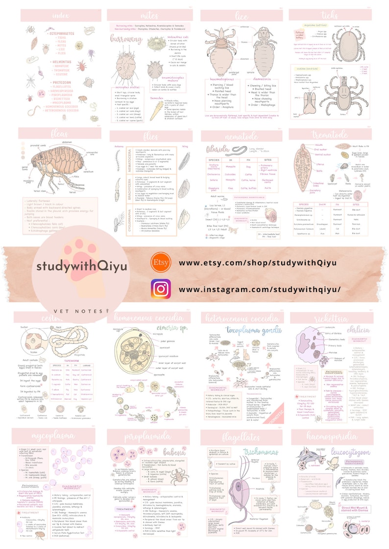 Vet Parasitology Bundle - Etsy
